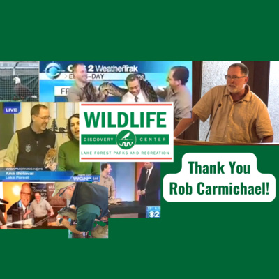 25 Years of Wild Adventures: Rob Carmichael’s Incredible Journey In ...
